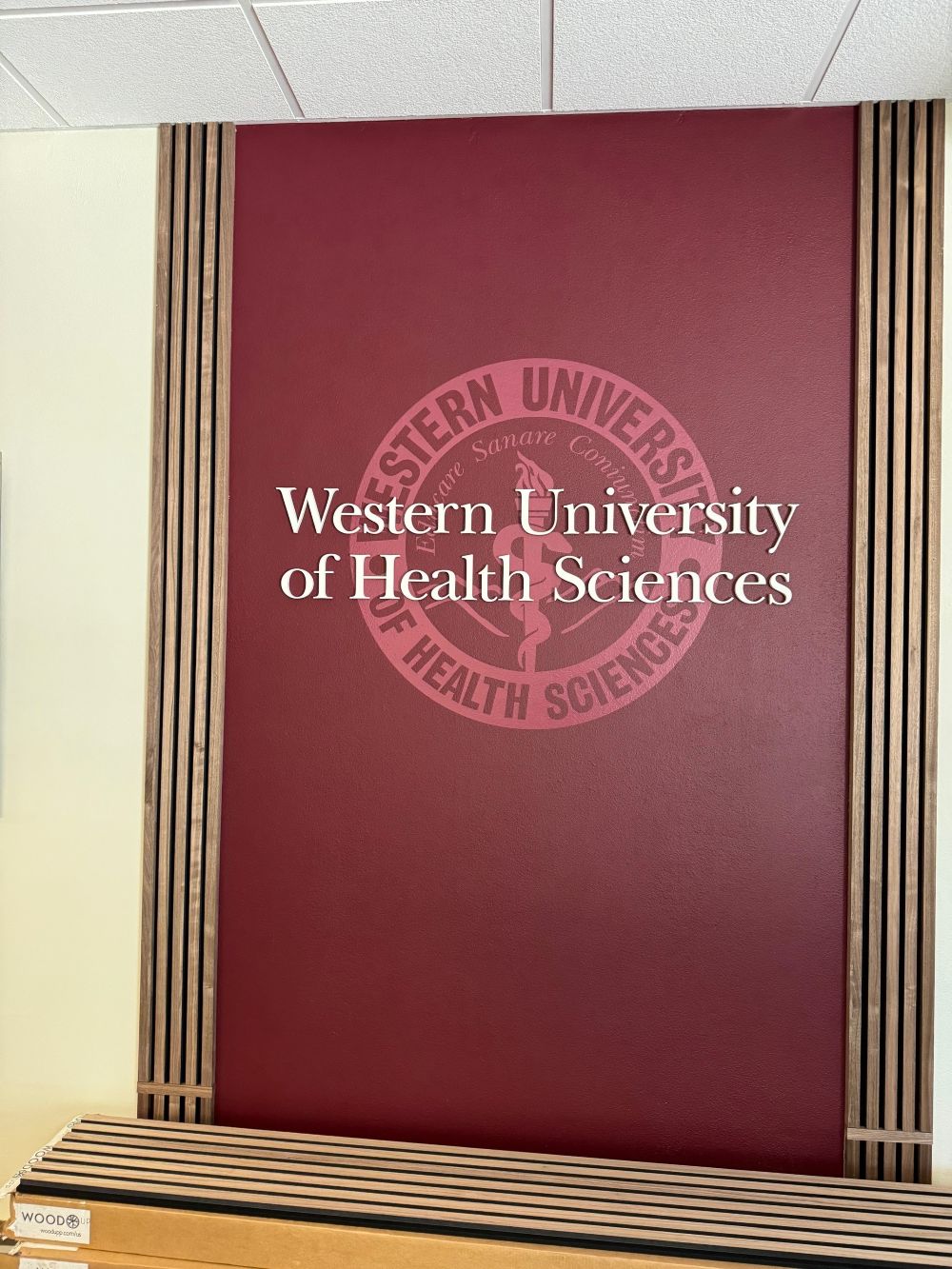 Custom Signs for Schools and Universities in Southern California